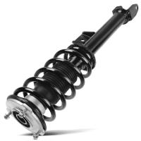 China Front Driver Complete Strut & Coil Spring Assembly for Tesla 3 2017-2021 RWD for sale