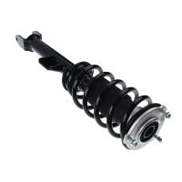 China Front Driver Complete Strut & Coil Spring Assembly for Tesla 3 2017-2021 RWD for sale