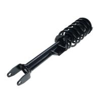 China Front Driver Complete Strut & Coil Spring Assembly for Tesla 3 2017-2021 RWD for sale