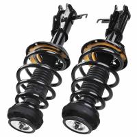 China 2x Front Complete Strut & Coil Spring Assembly for Buick LaCrosse 10-11 Allure AWD for sale