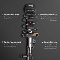 China 2x Front Complete Strut & Coil Spring Assembly for Toyota RAV4 Base 2006-2008 3.5L for sale