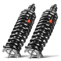 China 2x Rear Complete Strut & Coil Spring Assembly for Mercedes-Benz ML320 ML350 for sale