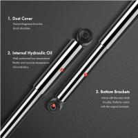 China 2x Rear Shock Absorber Strut for Buick Century Chevrolet GMC Pontiac Grand Prix for sale