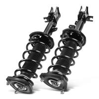 China 2x Rear Complete Strut & Coil Spring Assembly for Hyundai Elantra 96-00 for sale
