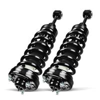 China 2x Front Complete Strut & Coil Spring Assembly for Ford F-150 Lincoln Mark LT for sale