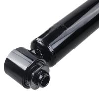 China 2x Rear Complete Strut & Coil Spring Assembly for BMW E60 E61 525i 528i 530i for sale