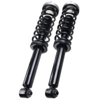 China 2x Rear Complete Strut & Coil Spring Assembly for BMW E60 E61 525i 528i 530i for sale