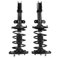 China 2x Rear Complete Strut & Coil Spring Assembly for Pontiac Grand Prix 2008 for sale