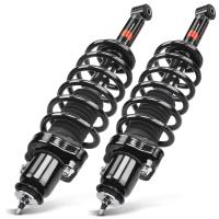 China 2x Rear Complete Strut & Coil Spring Assembly for Chrysler Sebring Dodge Avenger for sale