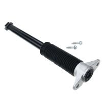 China Rear Driver or Passenger Shock Absorber for Tesla 3 2017 2018 2019 2020 2021 RWD for sale