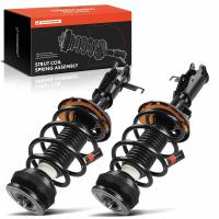 China 2x Front Complete Strut & Coil Spring Assembly for Chevy Impala 14-19 2.5L 2.4L for sale
