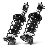 China 2x Rear Complete Strut & Coil Spring Assembly for Hyundai Elantra 2000-2006 2.0L for sale