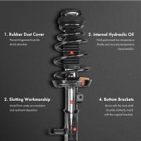 China 2x Rear Complete Strut & Coil Spring Assembly for Hyundai Elantra 2000-2006 2.0L for sale