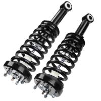 China 2x Rear Complete Strut & Coil Spring Assembly for Ford Thunderbird 02-05 3.9L for sale
