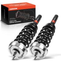 China 2x Front Complete Strut & Coil Spring Assembly for BMW E71/E72 X6 2008-2014 3.0L for sale