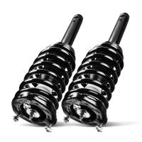 China 2x Front Complete Strut & Coil Spring Assembly for Kia Amanti 2004 2005 2006 for sale