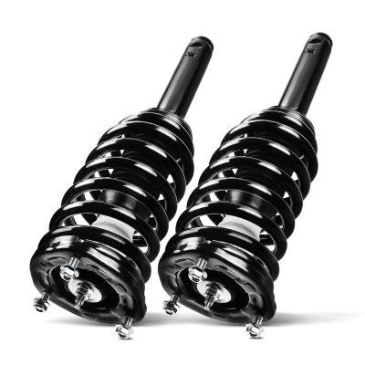 China 2x Front Complete Strut & Coil Spring Assembly for Kia Amanti 2004 2005 2006 for sale