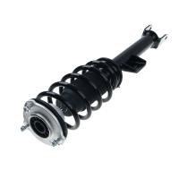 China Front Passenger Complete Strut & Coil Spring Assembly for Tesla 3 2017-2021 RWD for sale