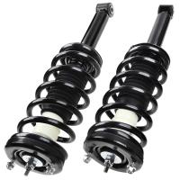 China 2x Rear Complete Strut & Coil Spring Assembly for Infiniti G20 1999-2002 2.0L for sale