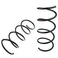 China 2x Front Suspension Coil Springs for Mercedes-Benz W203 C230 C280 C320 for sale