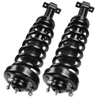 China 2x Front Complete Strut & Coil Spring Assembly for Ford F-150 2015-2020 RWD for sale