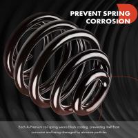 China 2x Rear Coil Springs for Dodge Journey 2009-2010 L4 2.4L for sale