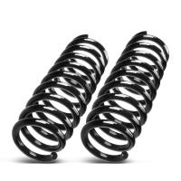 China 2x Rear Suspension Coil Springs for Hyundai Elantra 2007-2010 2.0L for sale