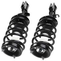 China 2x Front Complete Strut & Coil Spring Assembly for BMW E53 X5 2001-2004 L6 3.0L for sale