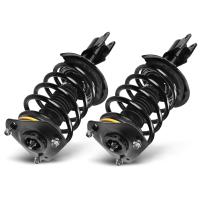 China 2x Front Complete Strut & Coil Spring Assembly for Pontiac Grand Prix 2004-2008 for sale