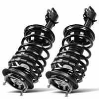 China 2x Front Complete Strut & Coil Spring Assembly for Chrysler Town & Country 90-95 for sale