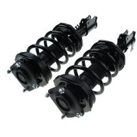 China 2x Front Complete Strut & Coil Spring Assembly for Kia Sedona 2002-2005 for sale