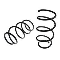 China 2x Front Suspension Coil Springs for BMW E46 320i 323Ci 2000-2005 for sale