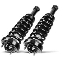 China 2x Front Complete Strut & Coil Spring Assembly for Ford F-150 2009 2010-2013 RWD for sale