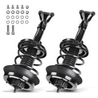 China 2x Front Complete Strut & Coil Spring Assembly for Mercedes-Benz C230 C240 C280 for sale