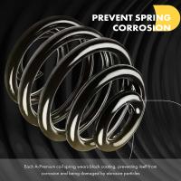 China 2x Rear Suspension Coil Springs for Dodge Journey 2009-2010 V6 3.5L for sale