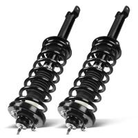 China 2x Rear Complete Strut & Coil Spring Assembly for Honda Accord 2008 2009-2012 for sale