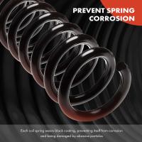 China 2x Rear Coil Springs for Chevrolet Camaro 1982-2002 Pontiac Firebird for sale