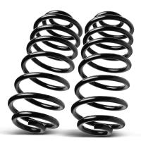 China 2x Rear Coil Springs for Buick Electra Cadillac Chevrolet Impala Pontiac Olds for sale