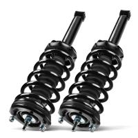 China 2x Rear Complete Strut & Coil Spring Assembly for Nissan Maxima 1995-1999 3.0L for sale