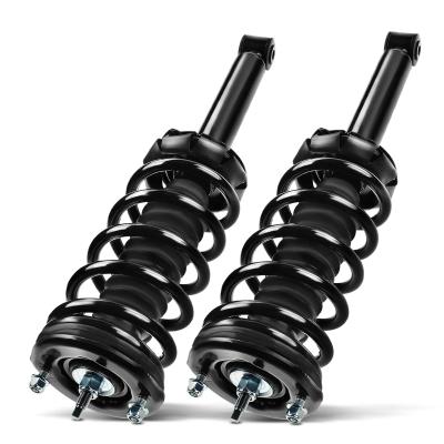 China 2x Rear Complete Strut & Coil Spring Assembly for Nissan Maxima 1995-1999 3.0L for sale