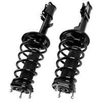 China 2x Rear Complete Strut & Coil Spring Assembly for Lexus RX300 1999-2003 V6 3.0L for sale