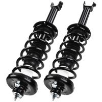 China 2x Rear Complete Strut & Coil Spring Assembly for Acura TSX 2011-2014 L4 2.4L Wagon for sale