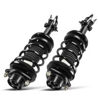 China 2x Rear Complete Strut & Coil Spring Assembly for Nissan Altima 1993 1994-1999 for sale