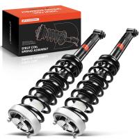China 2x Rear Complete Strut & Coil Spring Assembly for BMW E60 525i 528i 530i 535i for sale