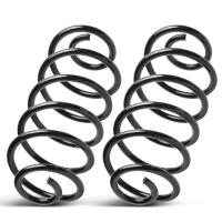 China 2x Rear Coil Springs for Buick LeSabre Chevy Impala Oldsmobile Cadillac Pontiac for sale