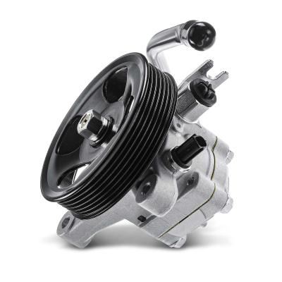 China Power Steering Pump with Pulley for Kia Sedona 06-10 Hyundai Entourage 07-09 for sale