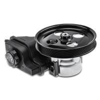 China Power Steering Pump with Reservoir for Cadillac DTS Buick Lucerne 2006-2011 4.6L for sale