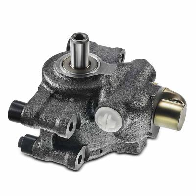 China Power Steering Pump for Ford F-150 Expedition Lincoln Navigator Mark LT for sale