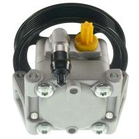 China Power Steering Pump with Pulley for Jaguar Super XF XJ8 XK XK8 V8 4.2L for sale