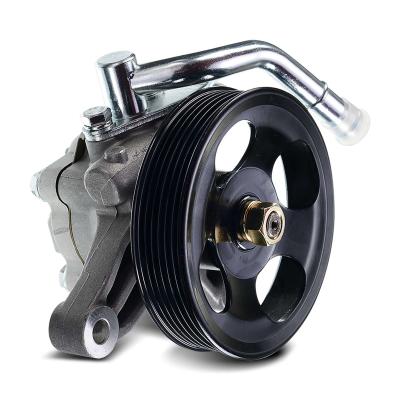 China Power Steering Pump with Pulley for Hyundai Veracruz V6 3.8L 2008-2012 for sale